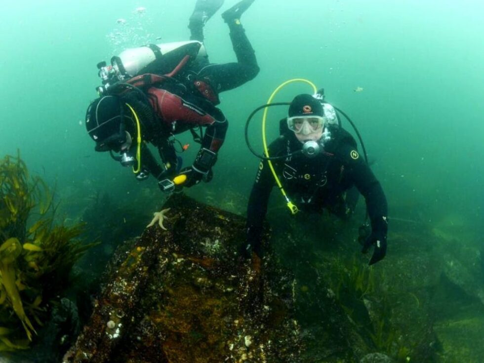 CENTRO HIPERBARICO - Centro Comercial Alto Varas